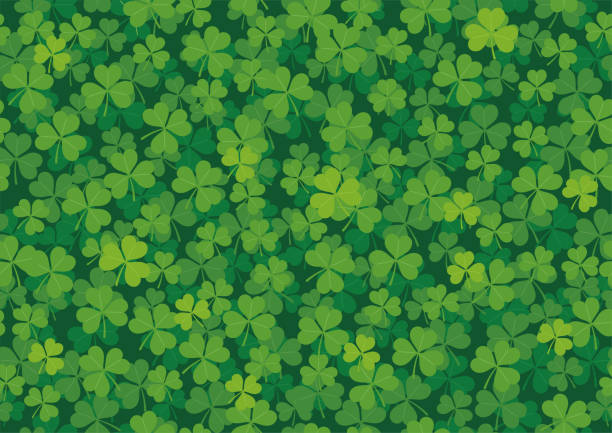 Clothing – The Irish Shop